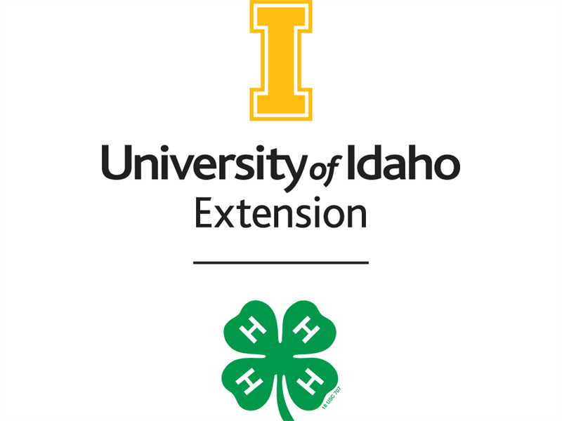 Find Your Fair - FairEntry.com